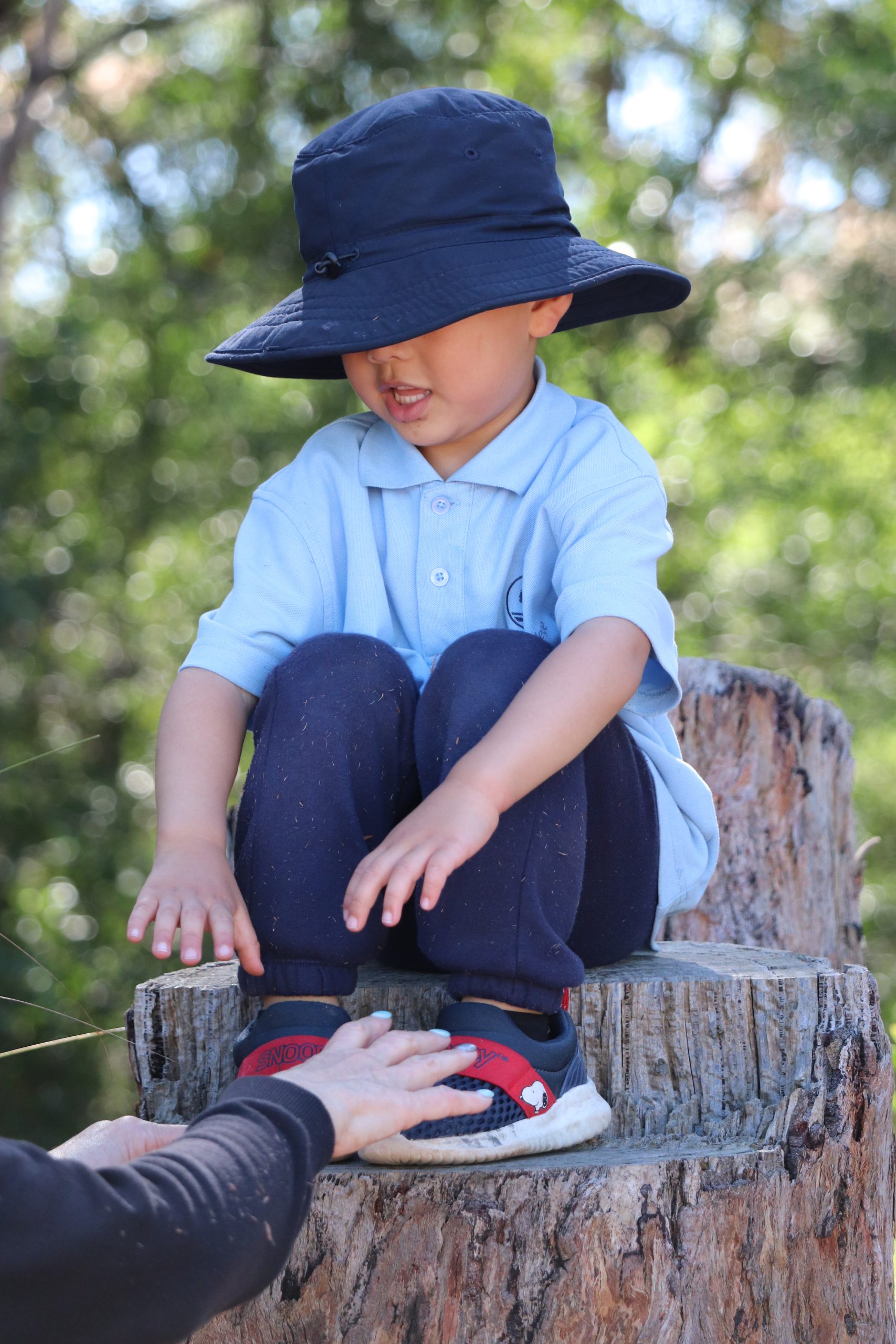 Experiences - Billanook College