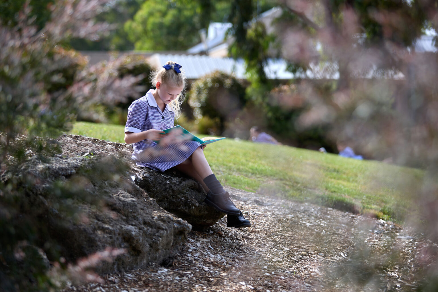 An education that goes beyond the classroom - Billanook College